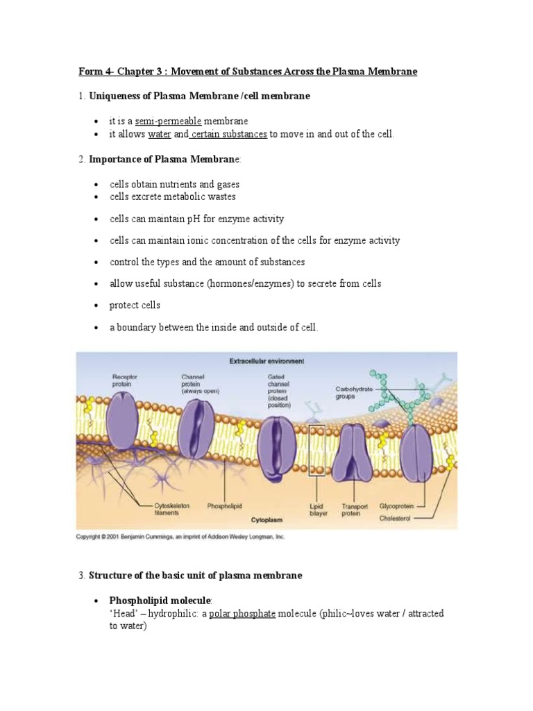 Science Form 5 Chapter 3 | PDF | Cell Membrane | Cell (Biology)