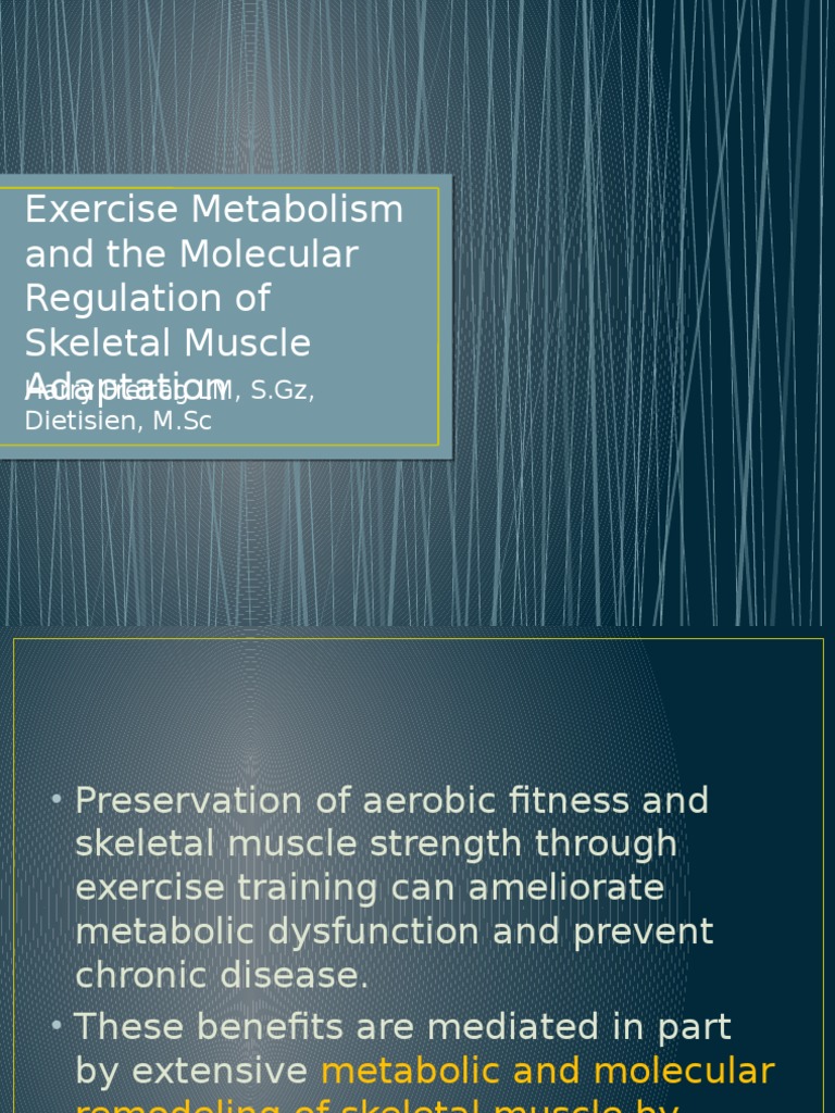 Exercise Metabolism and the Molecular Regulation of Skeletal Muscle ...