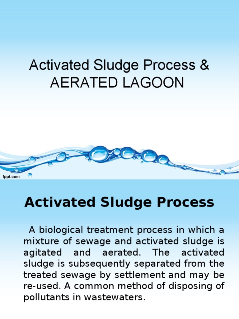 Activated Sludge | PDF | Sewage Treatment | Biodegradable Waste Management