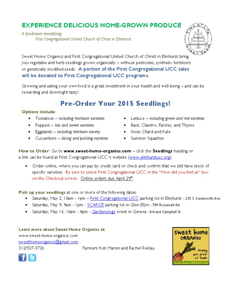 Seedling Flyer | PDF | Tomato | Parsley