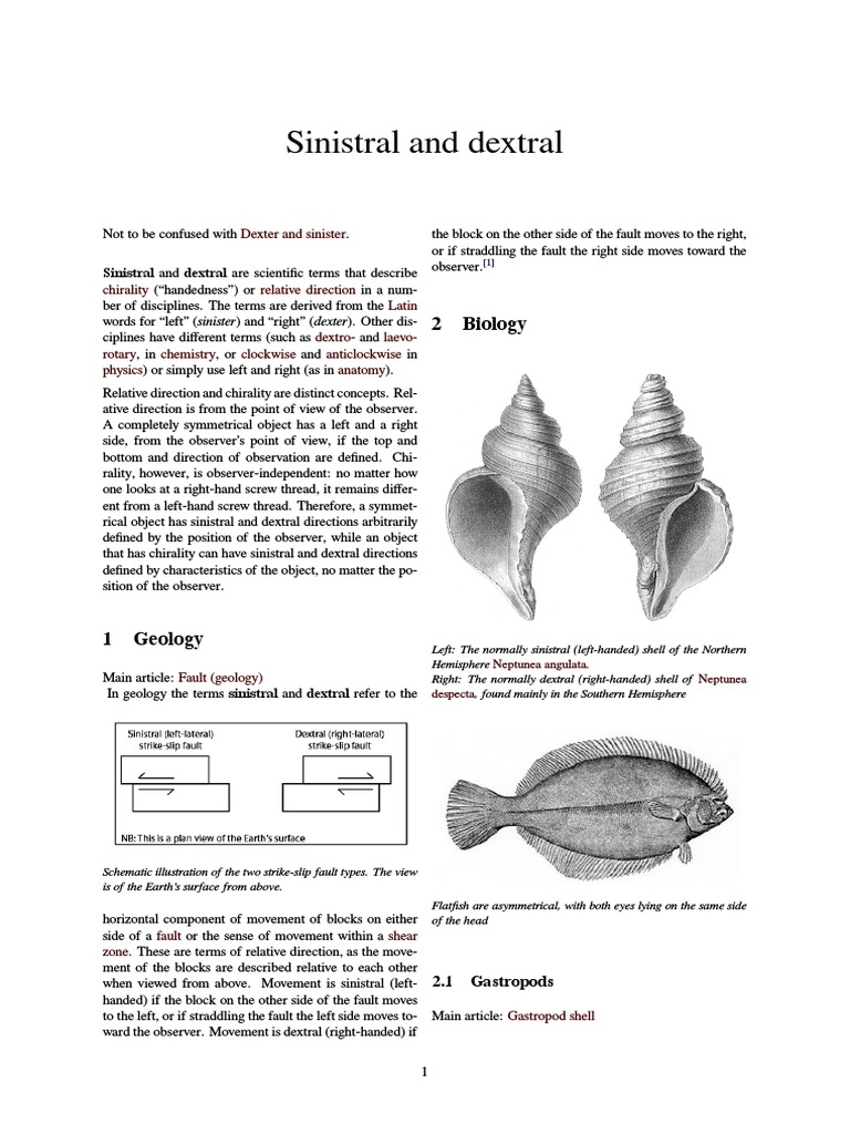 Sinistral and Dextral | PDF | Symmetry | Nature