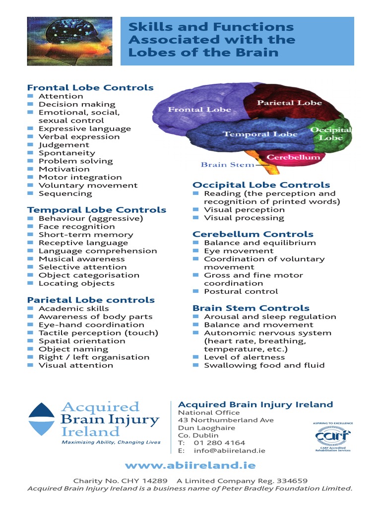 Brain Lobes Functions Skills Changes Injury | PDF | Hallucination ...