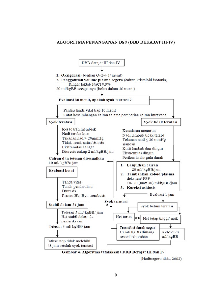 Algoritma Penanganan Dss (DBD Derajat Iii-Iv) | PDF