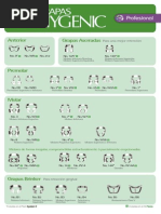 Índice TF | PDF | Esmalte de dientes | Naturaleza