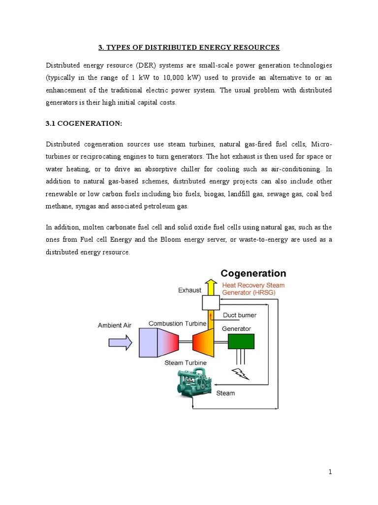 DG Report | PDF | Distributed Generation | Gas Turbine