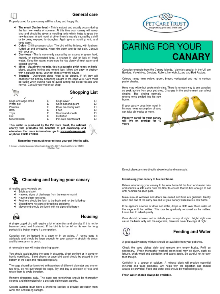 Caring For Your Canary | PDF | Birds | Nature