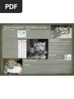 Subject Enrichment Activity Social Science: Endangered Species | PDF ...