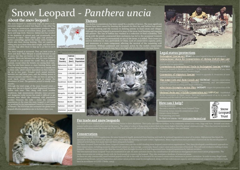 Snow Leopard Poster | PDF | Leopard | Endangered Species