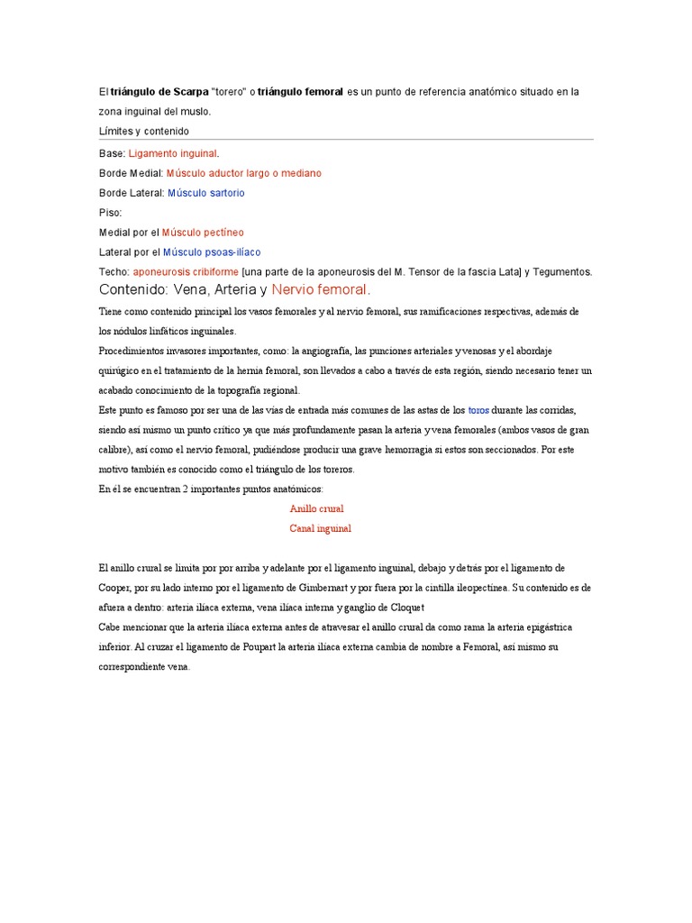 El Triángulo de Scarpa | PDF