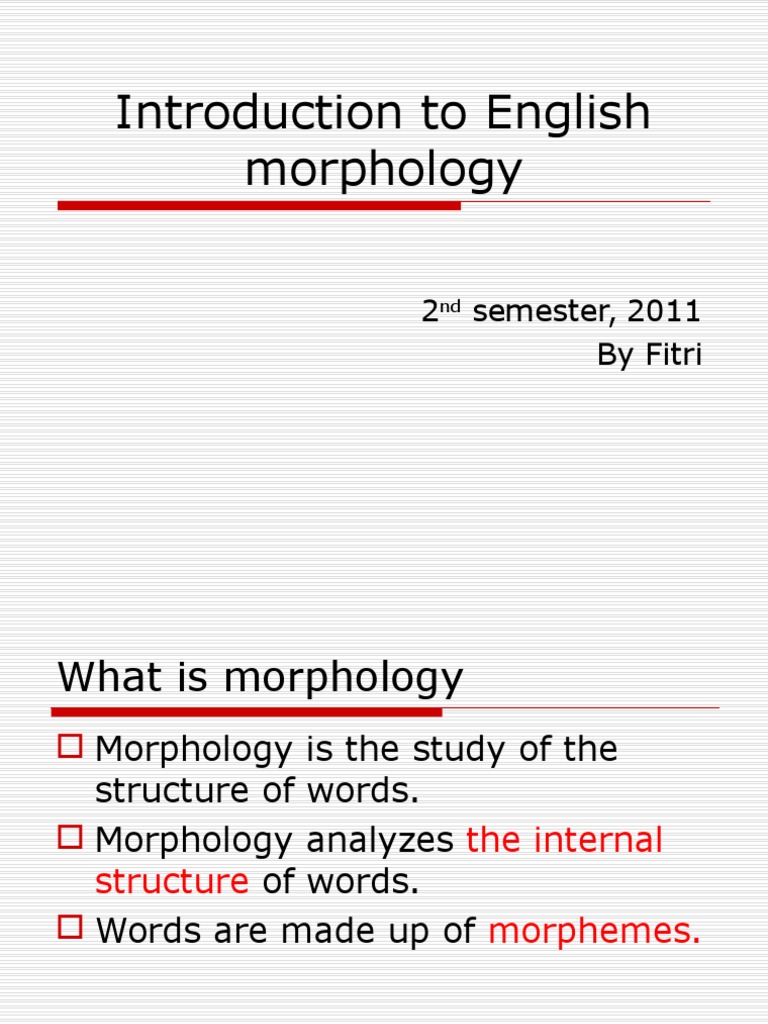 Understanding the Building Blocks of Words: An Introduction to ...