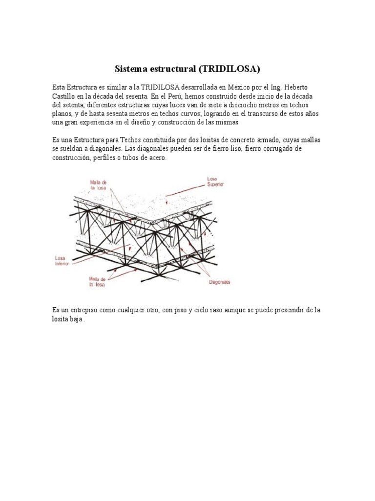 Sistema Estructural TRIDILOSA | Ingeniería | Ciencia