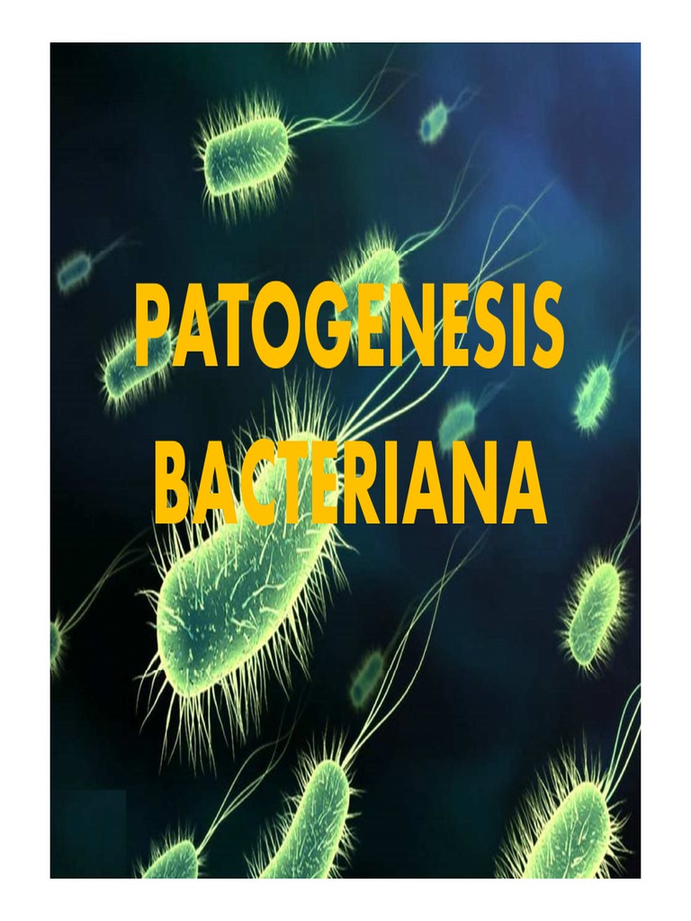 Patogenesis bacteriana | Las bacterias | Fagocito | Prueba gratuita de ...