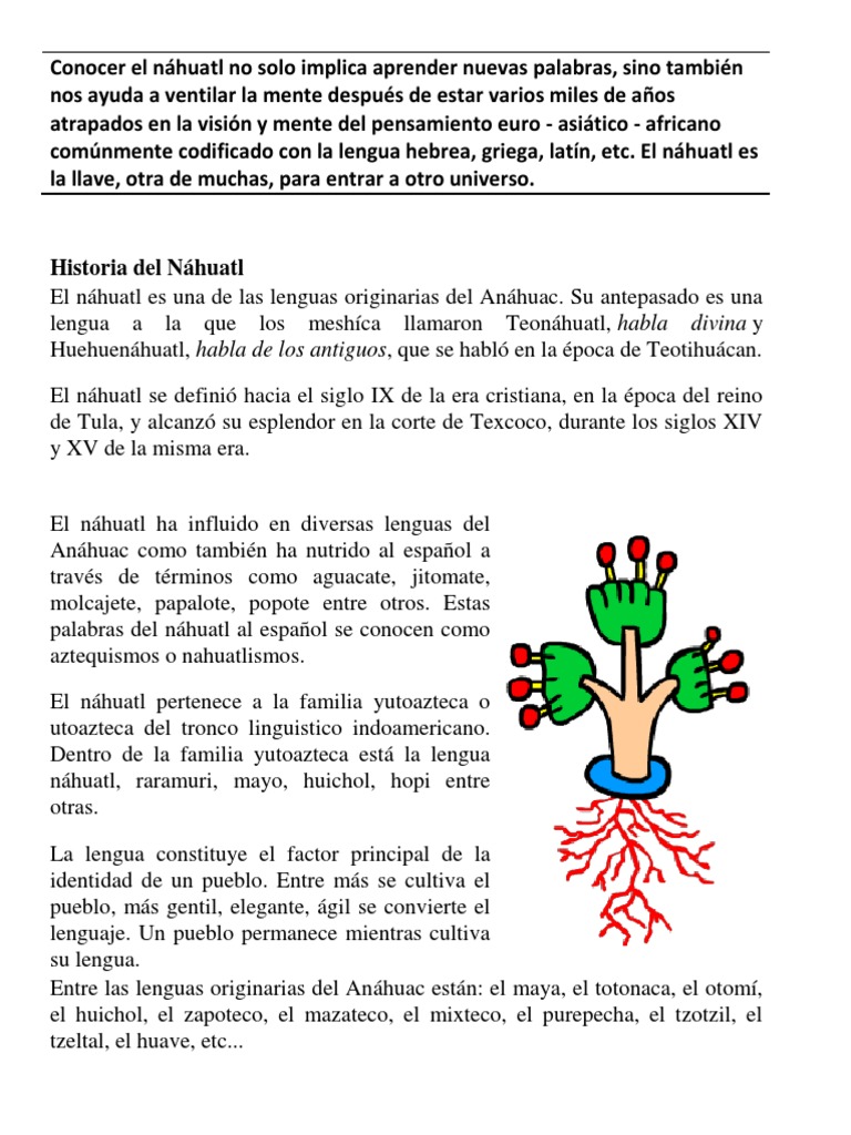Conocer el náhuatl no solo implica aprender nuevas palabras.pdf ...