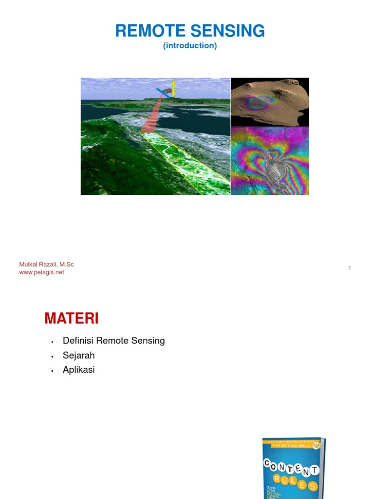 Remote Sensing | PDF