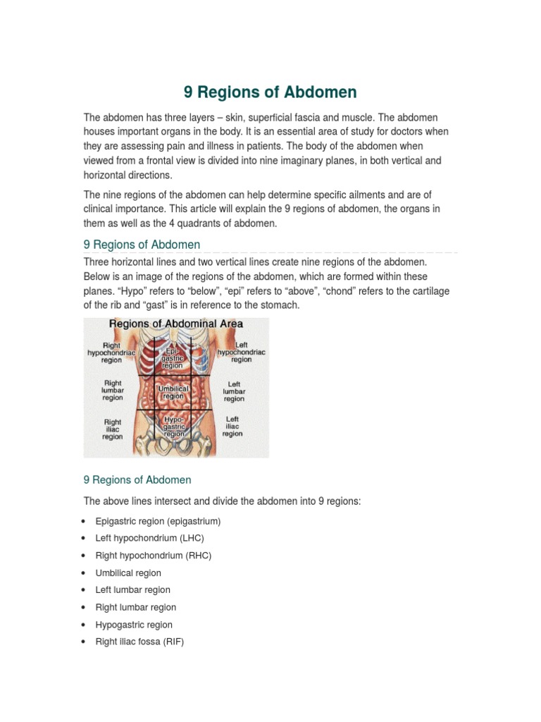 9 Quadrants Of The Abdomen