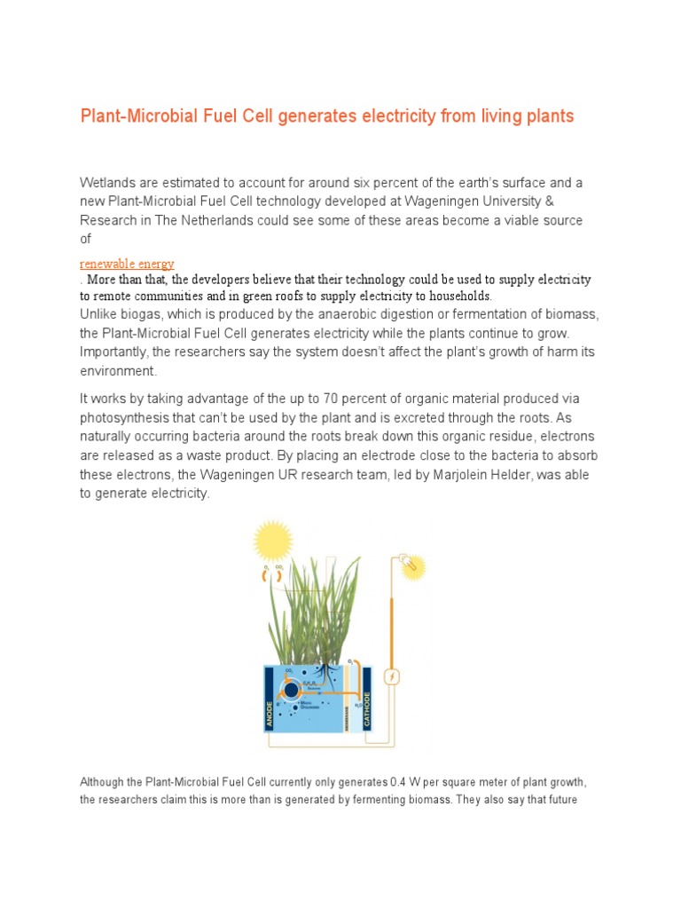 Plant-Microbial Fuel Cell Generates Electricity From Living Plants ...