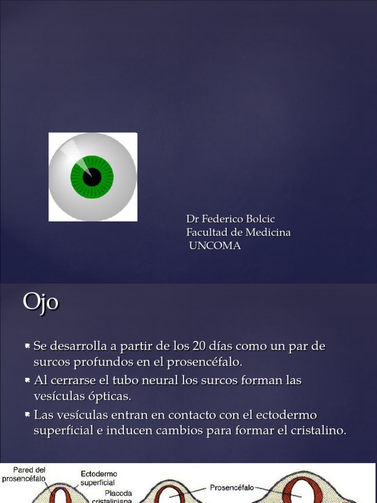 Desarrollo Embriológico Del Ojo y Del Oido | PDF | Oído | Ojo humano