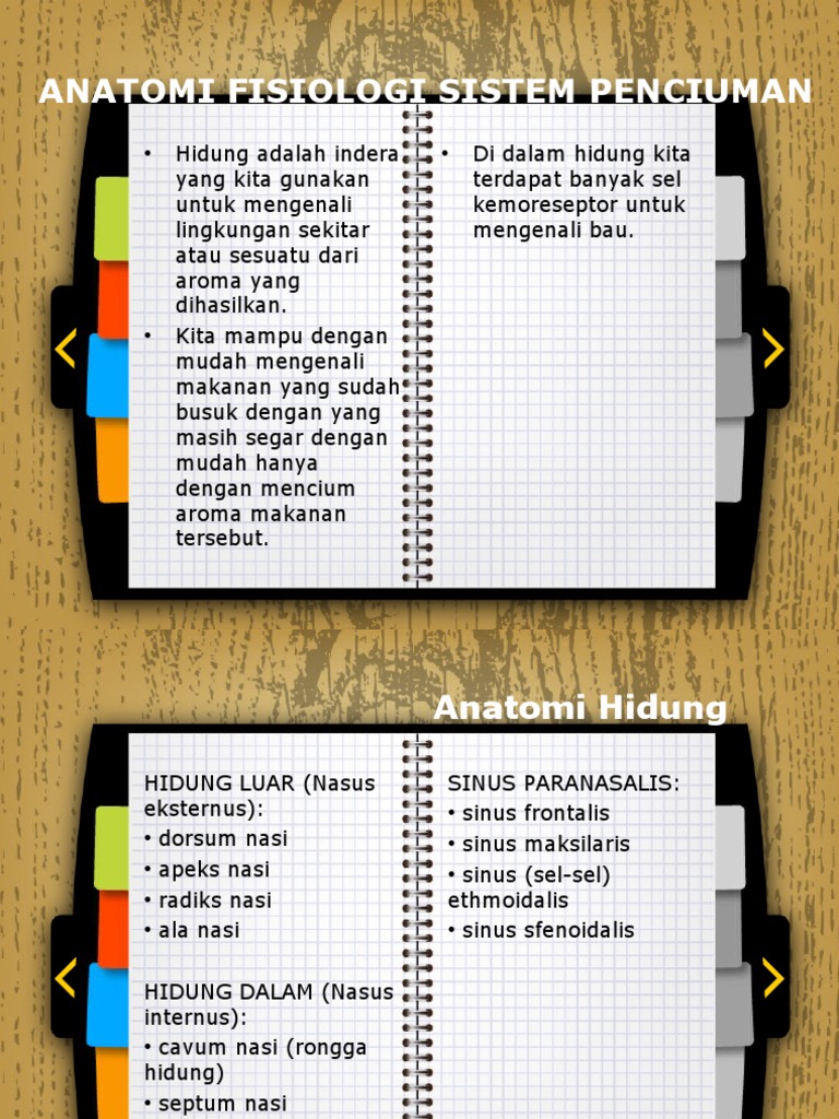 Anatomi Fisiologi Sistem Penciuman | PDF