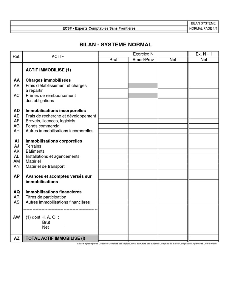 Syscohada Modele Bilan Compte de Resultat | Bilan comptable | Comptabilité