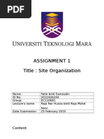 Mobilization Plan | PDF | Project Manager | Project Management