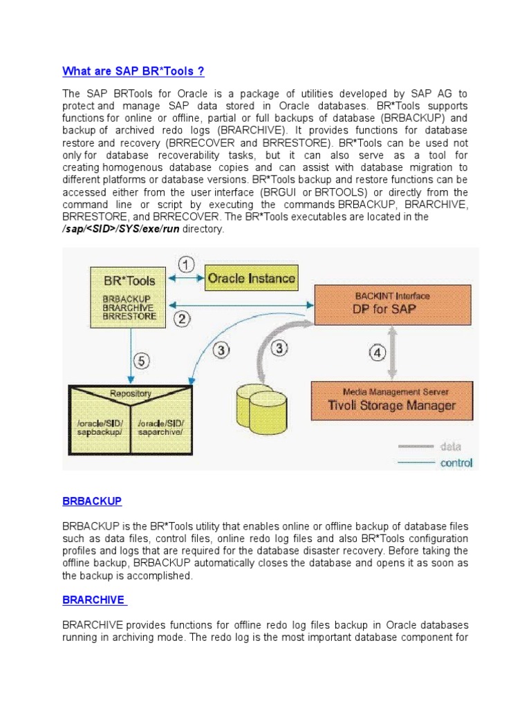 BR Tools | PDF | Backup | Oracle Database