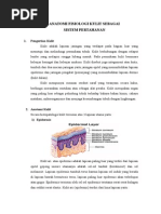 Anatomi, Fisiologi Dan Fungsi Semua Lapisan Kulit Dan Dampak Penuaan ...