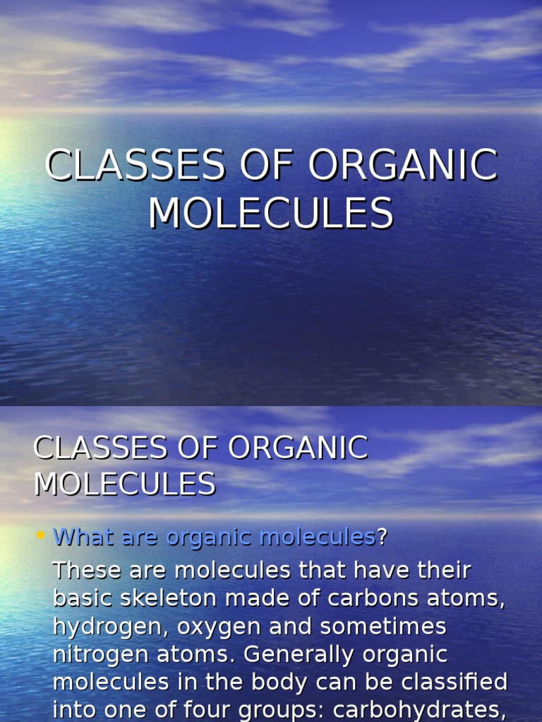 Classes of Organic Molecules | PDF | Biomolecular Structure | Carbohydrates