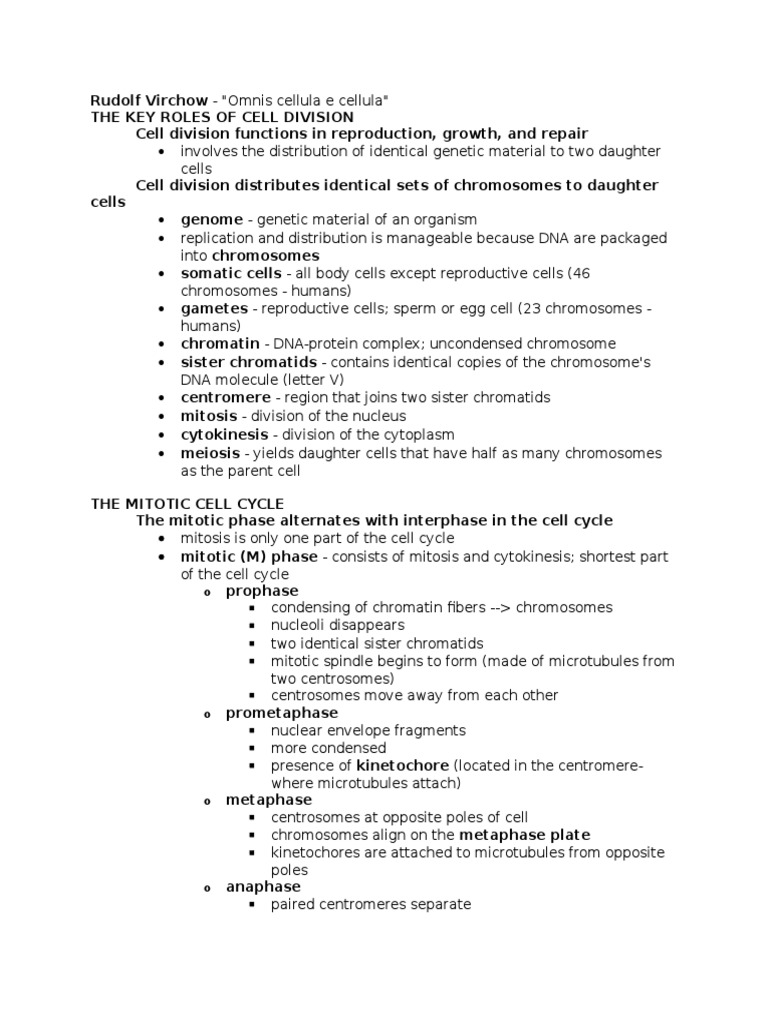 The Cell Cycle Reviewer | PDF | Mitosis | Chromosome
