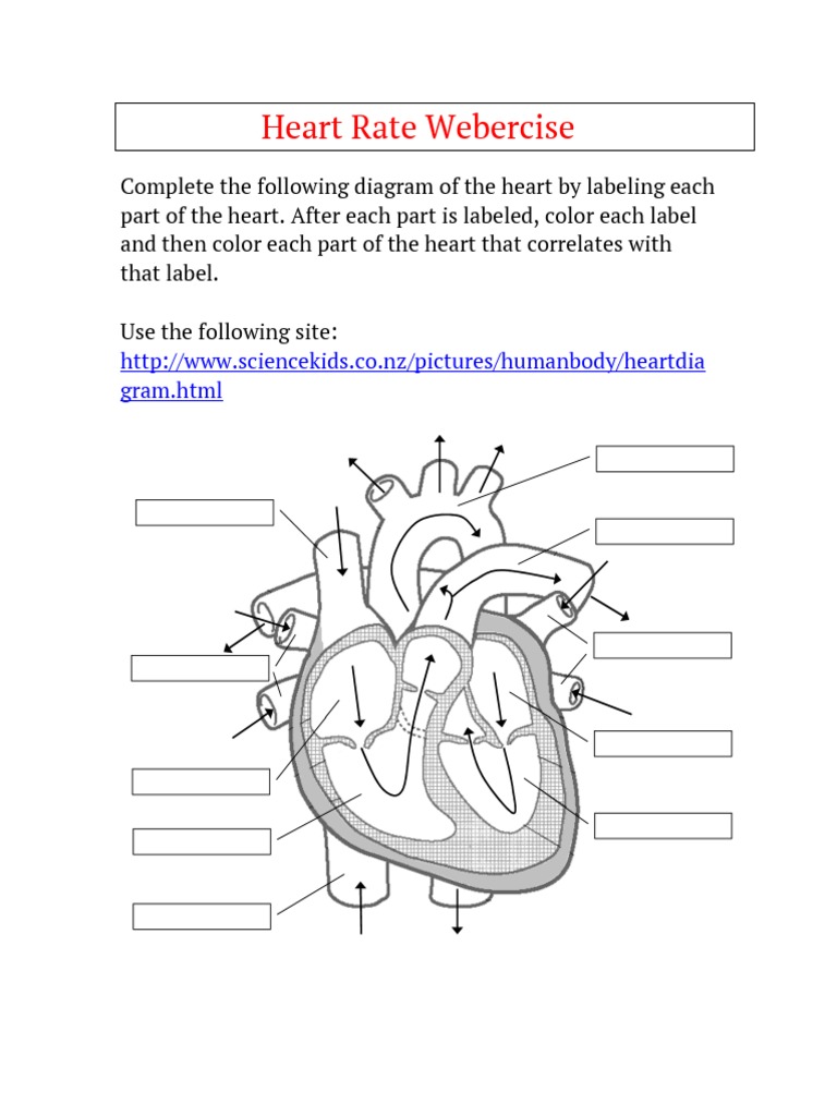 Heart Rate Calculation and Activities Guide | PDF