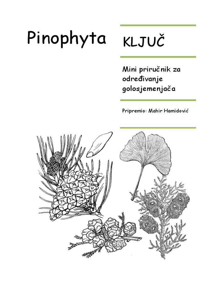 Ključ PDF | PDF