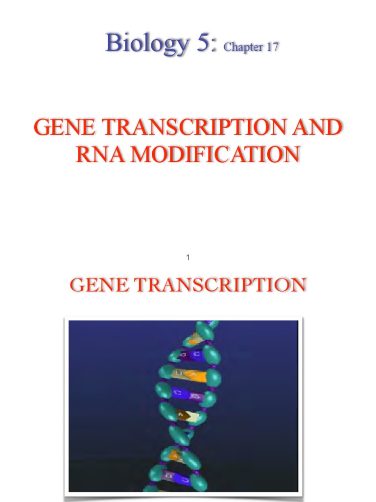 2014 Transcription Biology 5 | PDF | Gene | Promoter (Genetics)
