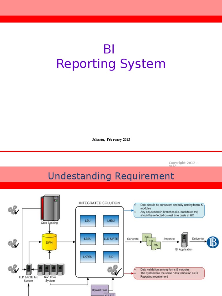 Bi Reporting System Overview Pdf