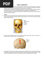 Anatomía de la Región Geniana | PDF | Cabeza y cuello humanos ...