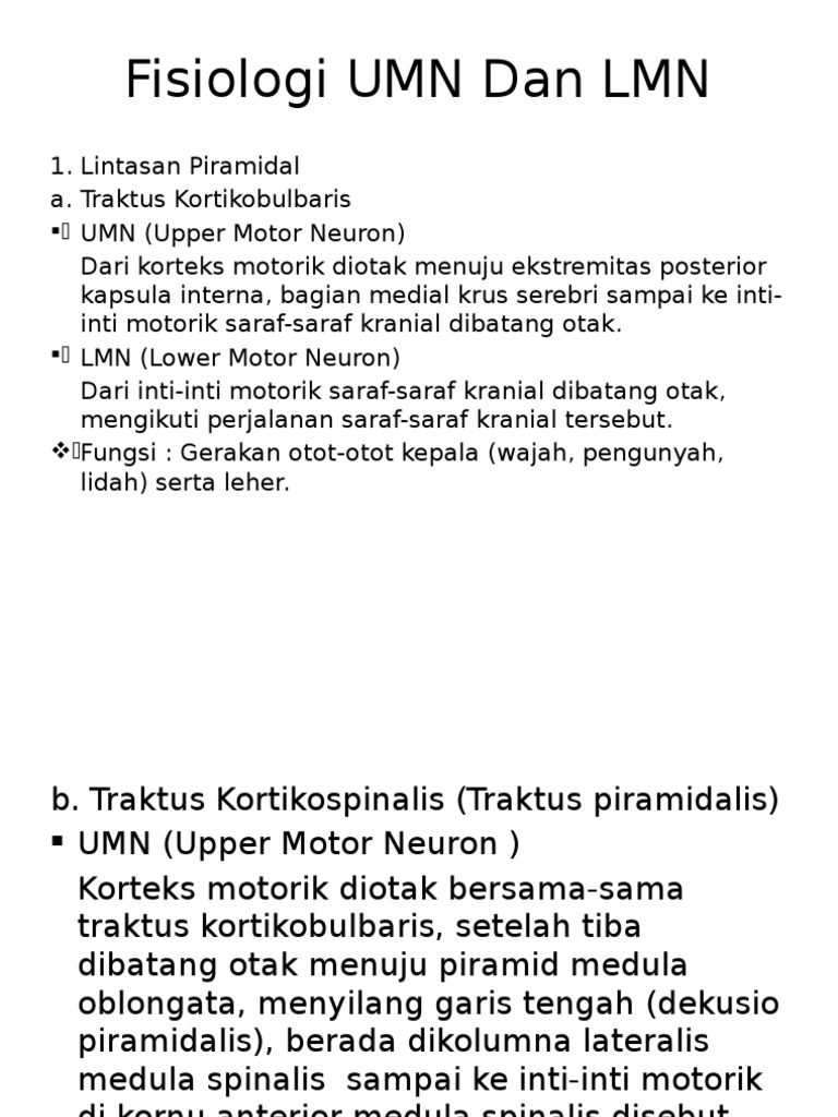 Fisiologi Umn Dan LMN Sindy | PDF