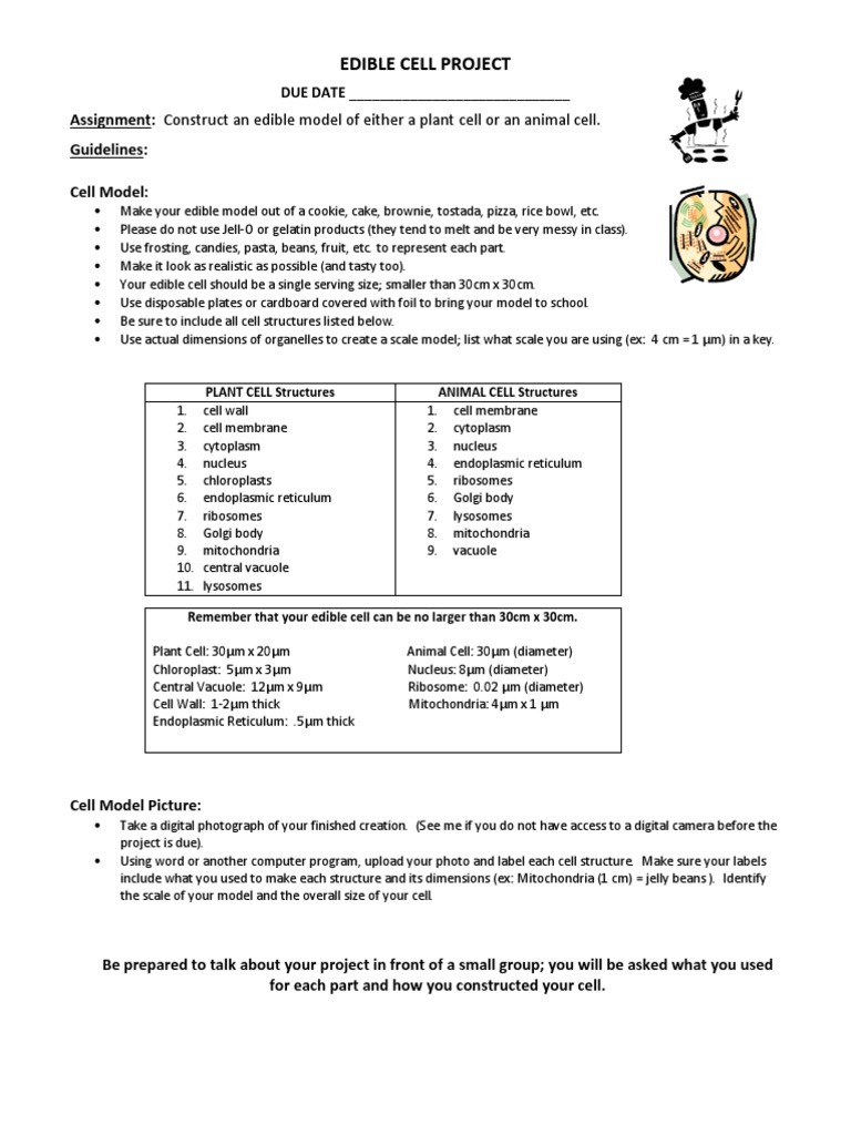 Edible Cell and Rubric | PDF | Cytoplasm | Vacuole