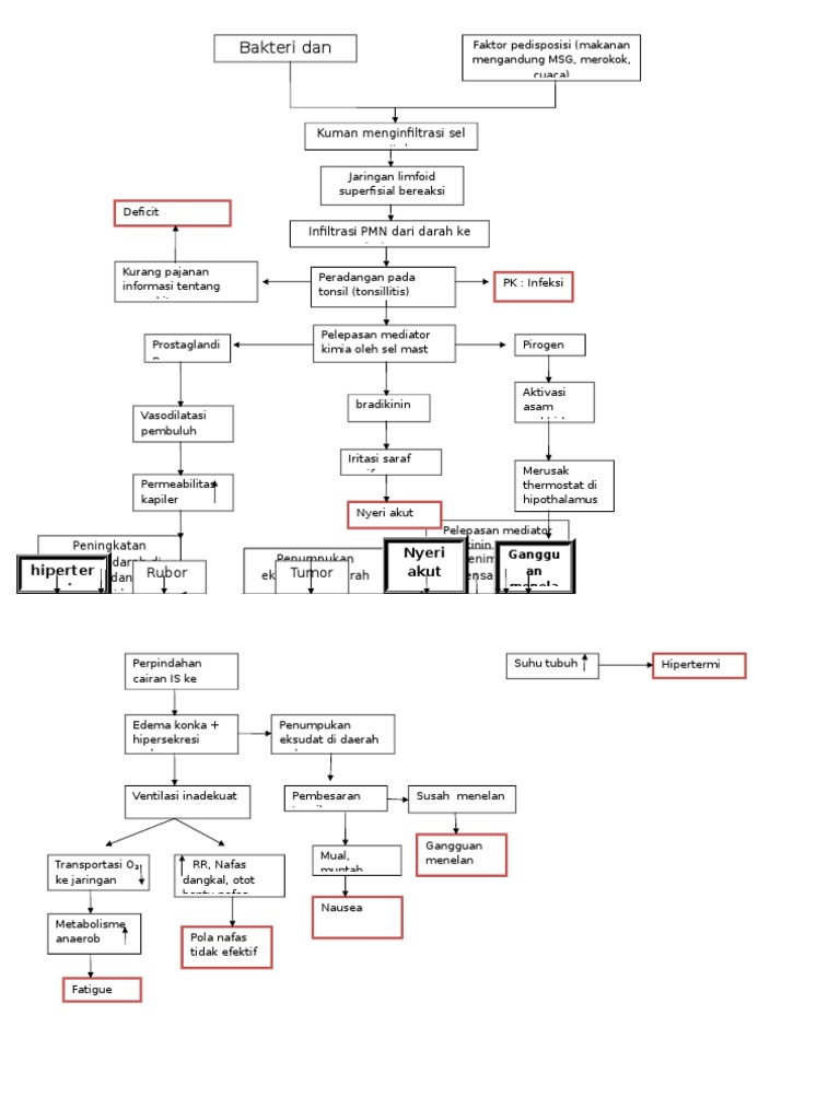 Pathway Tonsilitis