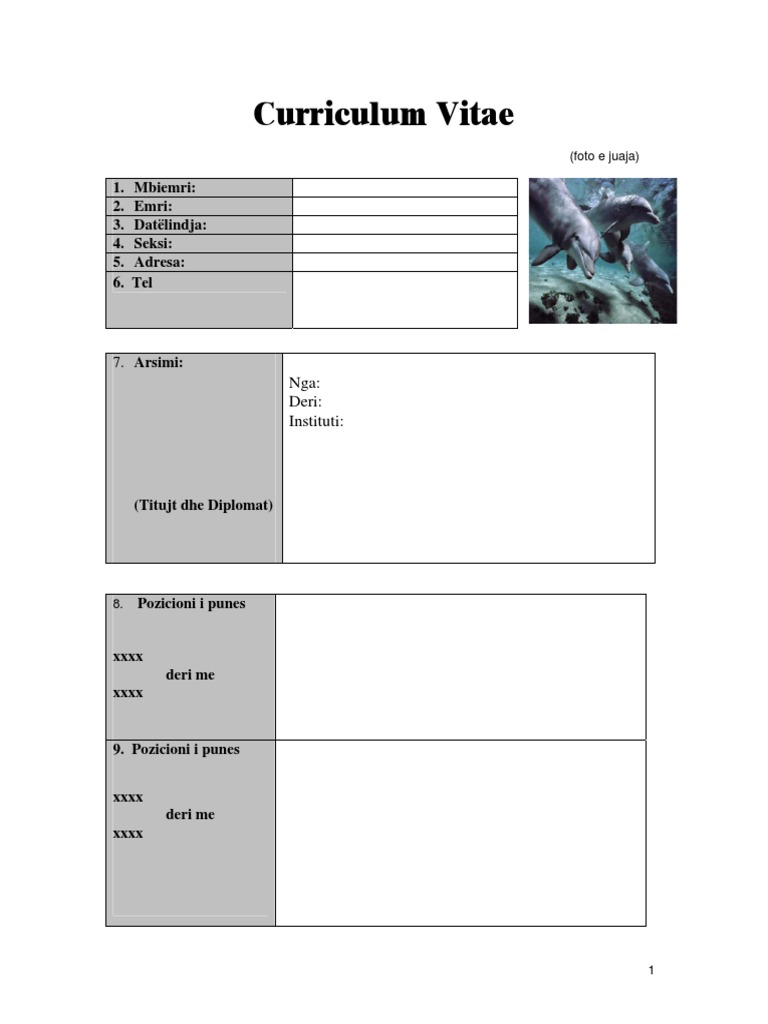 Resume Format Modele Cv Shqip