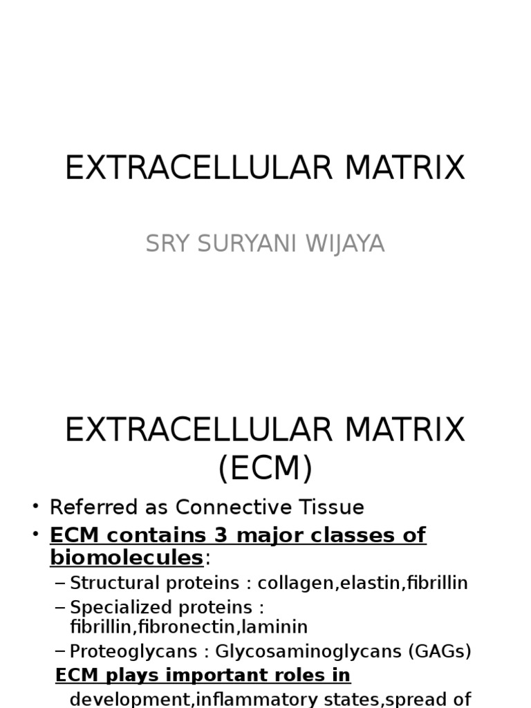 Extracellular Matrix | PDF | Extracellular Matrix | Bone