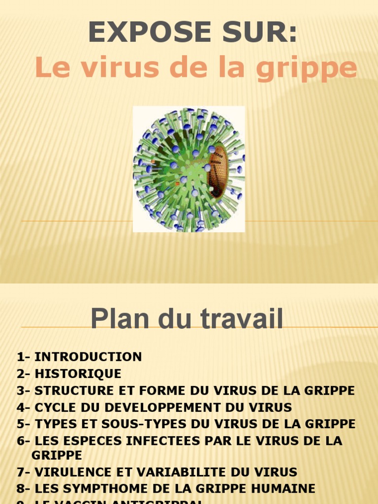 Comprendre le virus de la grippe | PDF | Grippe | Influenzavirus A