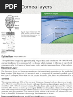 ICD-10 Codes for Sebaceous Cysts | PDF | Cutaneous Conditions | Medicine