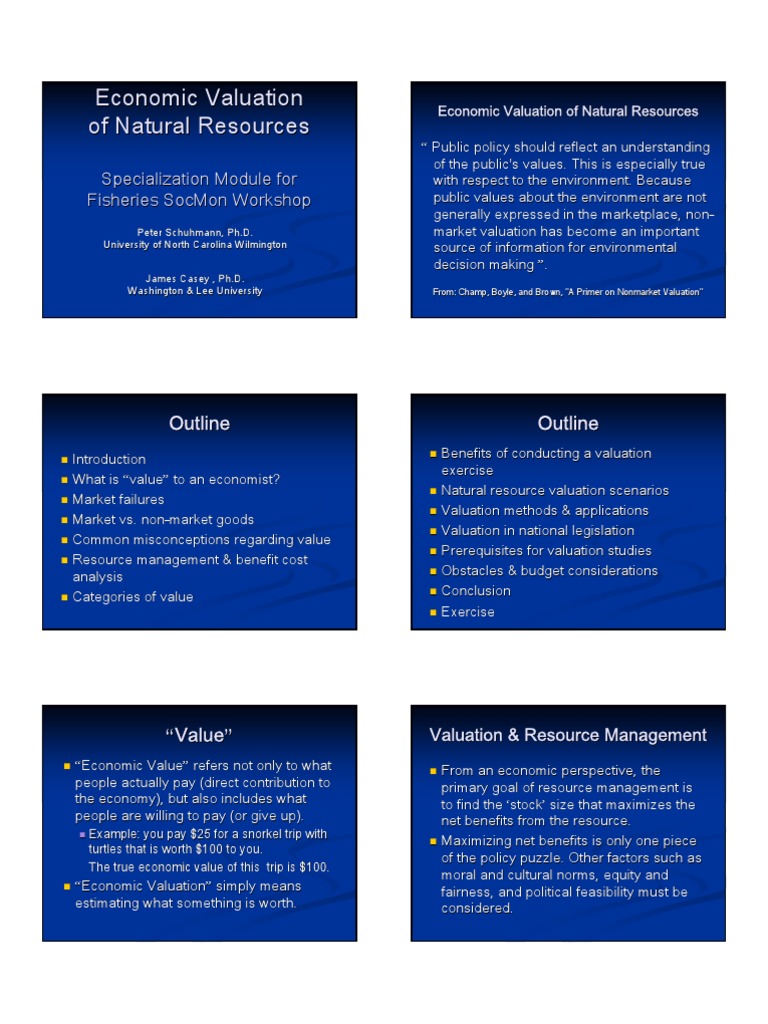 Economic Valuation 1 PDF | PDF | Valuation (Finance) | Value (Economics)