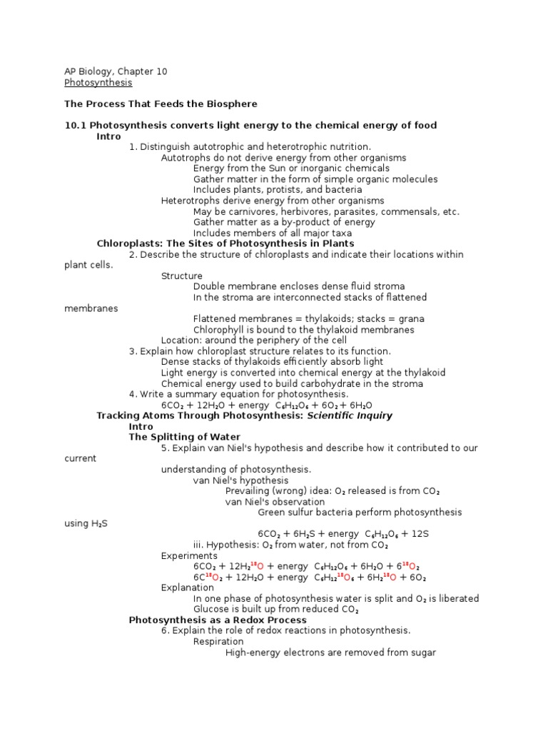 AP Biology Chapter 10 Notes - Photosynthesis | PDF | Photosynthesis ...
