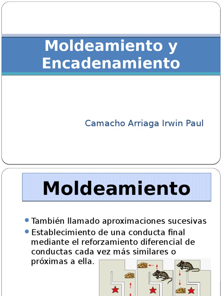Moldeamiento y Encadenamiento | PDF