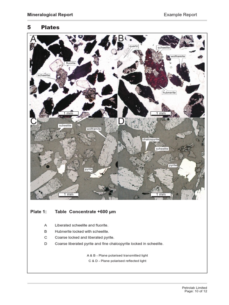 Canadian Tungsten Plates | PDF | Social Science