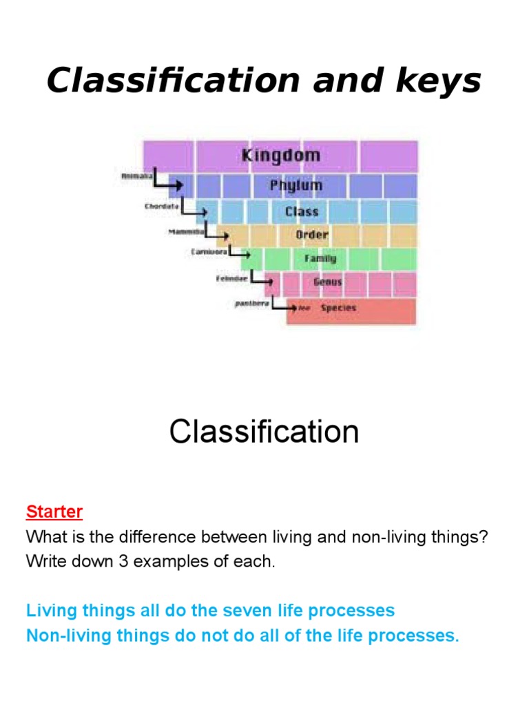 Classification of Plants and Animals | PDF | Plant Stem | Plants