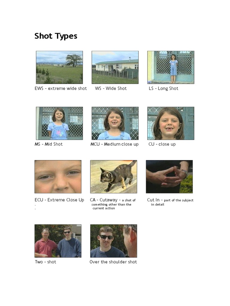 Shot Types: EWS - Extreme Wide Shot WS - Wide Shot LS - Long Shot | PDF