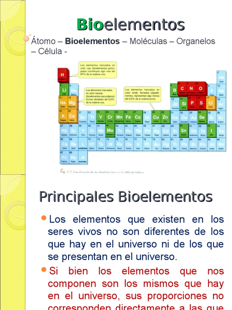bioelementos | Biomoléculas | Organismos | Prueba gratuita de 30 días ...