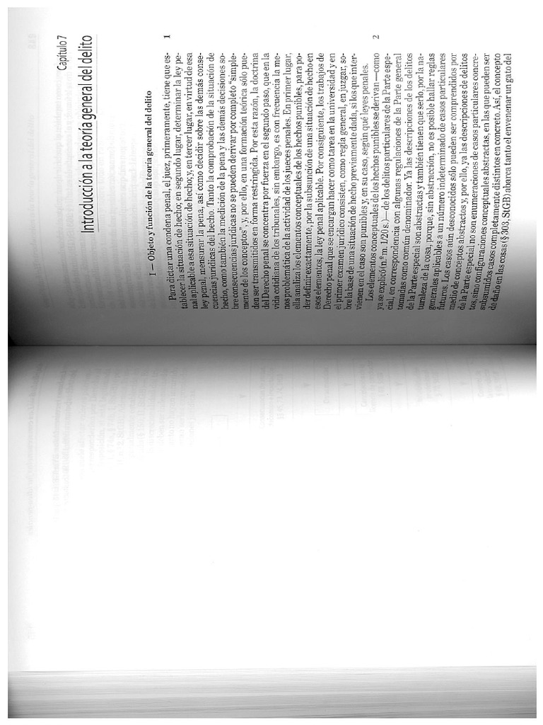 Frister Introducción A La Teoría Del Delito | PDF