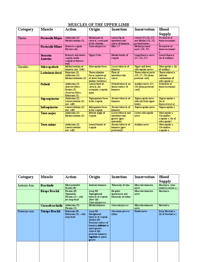 Table of Upper Limb Muscles | PDF | Thumb | Finger