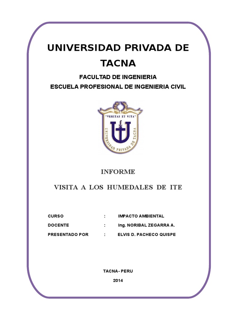 Informe Visita 2 Humedales de Ite | PDF | Contaminación | Minería